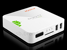 Enjoy TV Nano ATV310