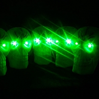 USB Motion Sensor Skull